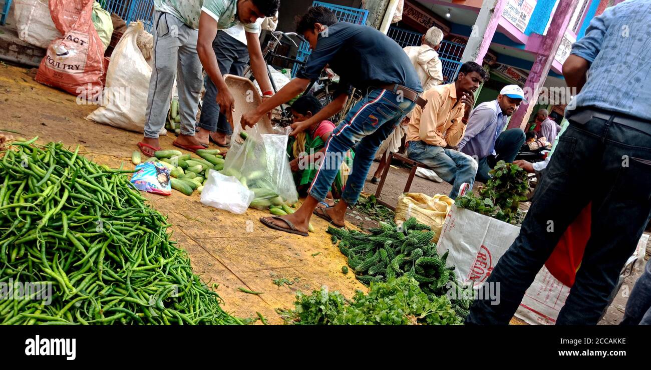 DISTRICT KATNI, INDIA - JULY 29, 2019: A fresh vegetable present for ...