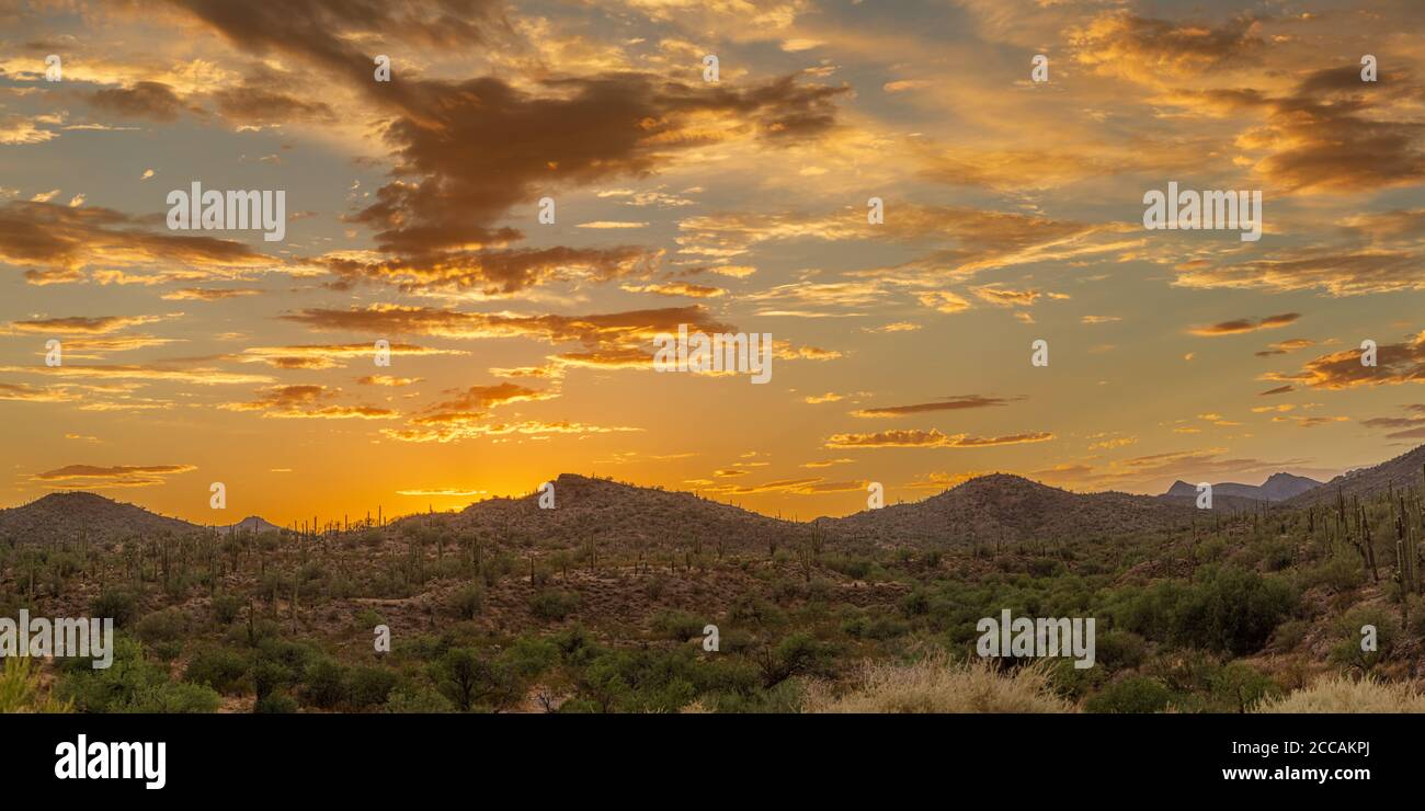 Sunset over the sonoran desert in arizona hi-res stock photography and ...