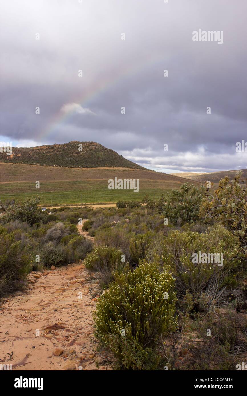 Biome Fynbos High Resolution Stock Photography and Images - Alamy