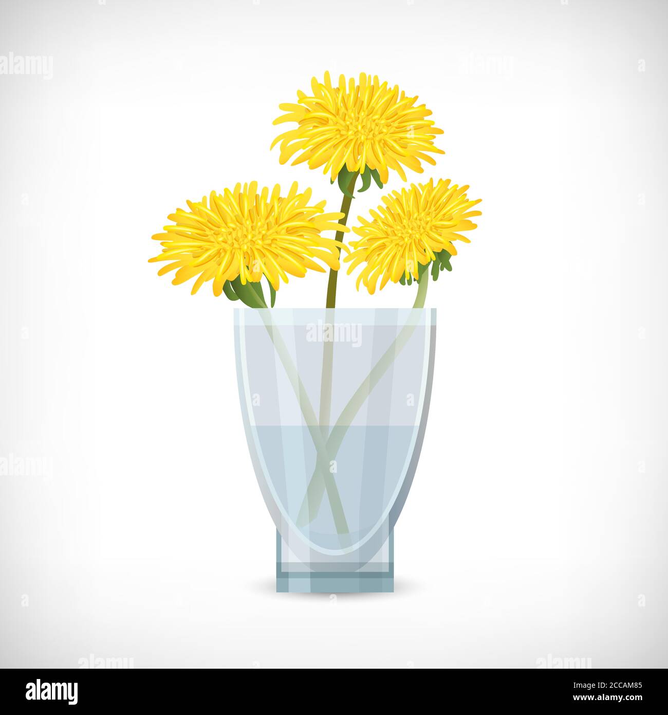 Interi Stock Vector Images - Alamy