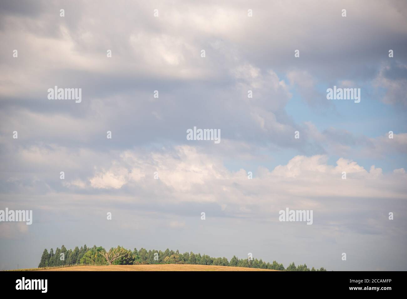 Farming region southern brazil hi-res stock photography and images - Alamy