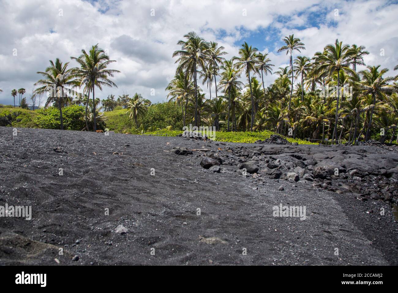 Punalu'u Black Sand Beach Park Hilo, Hawaii Stock Photo - Alamy