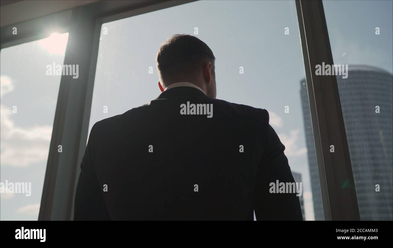 Successful businessman stands thoughtfully near the window. rear view ...