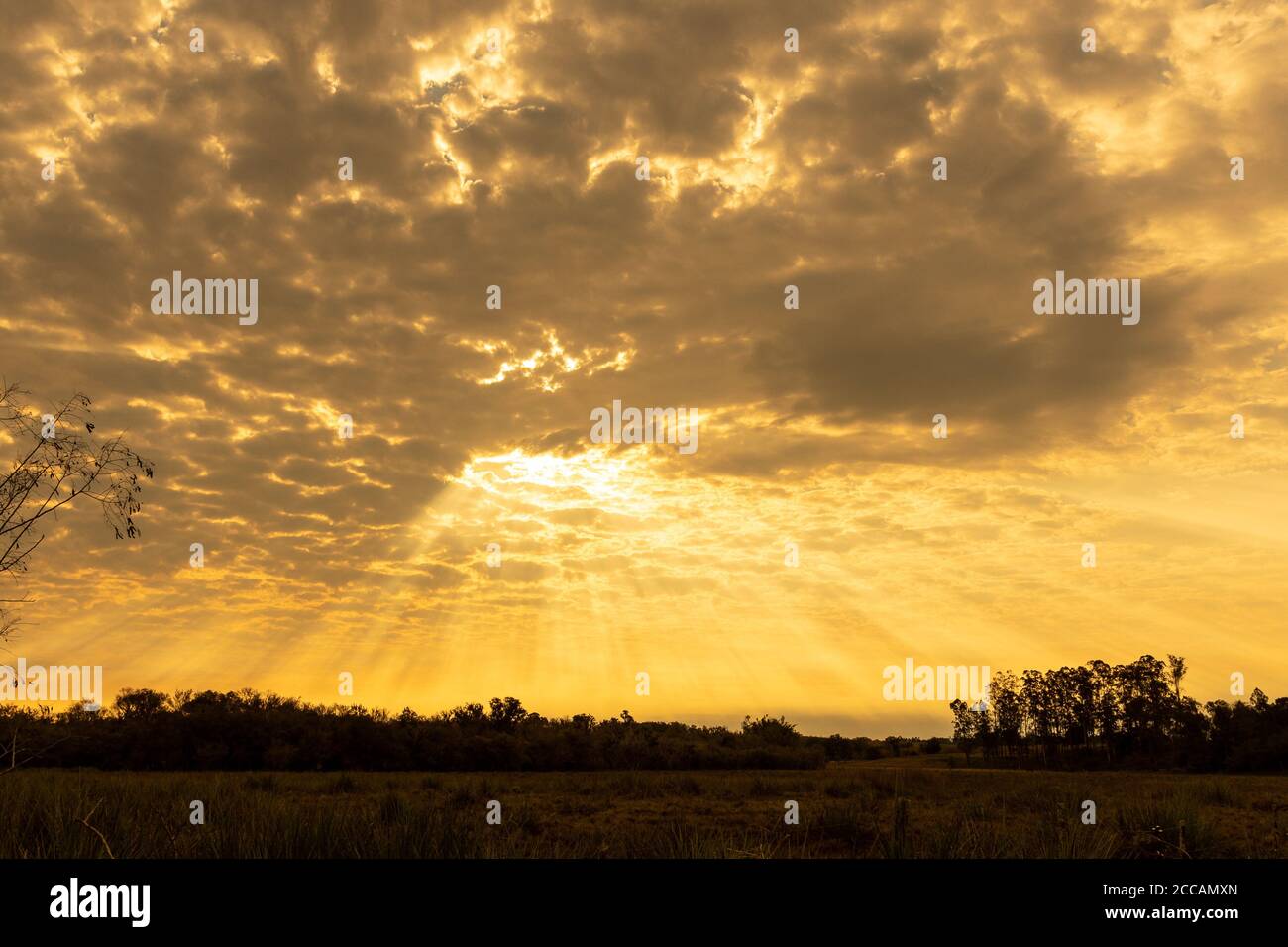 Late afternoon landscape with the sun setting over the horizon of the ...