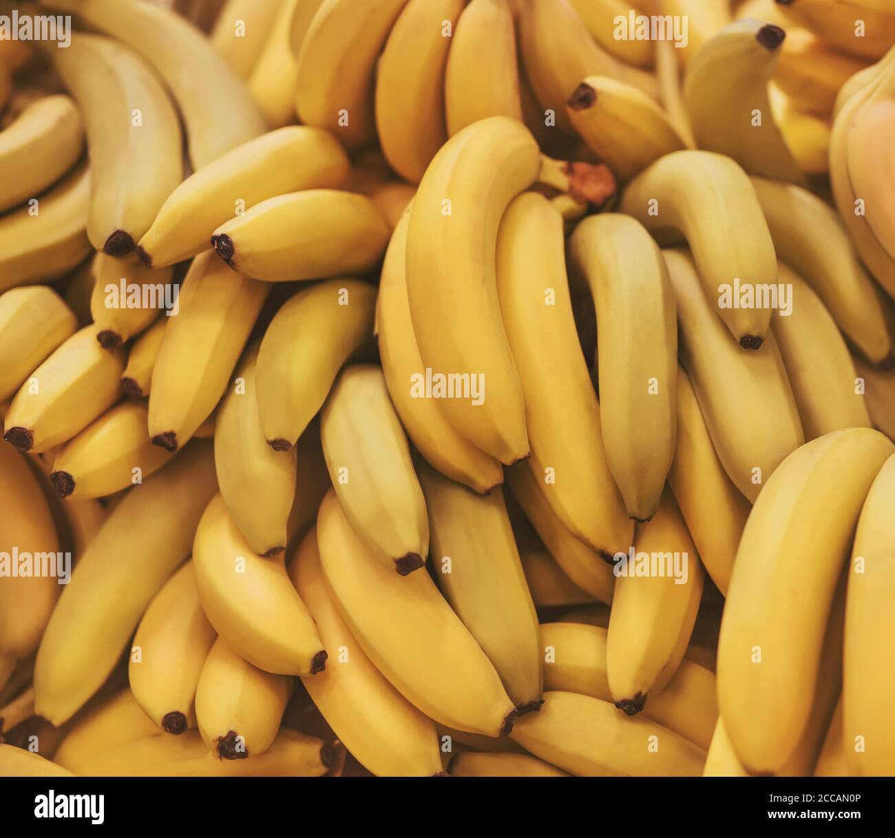 Delicious ripe bananas with a soft yellow skin are in the grocery store ...