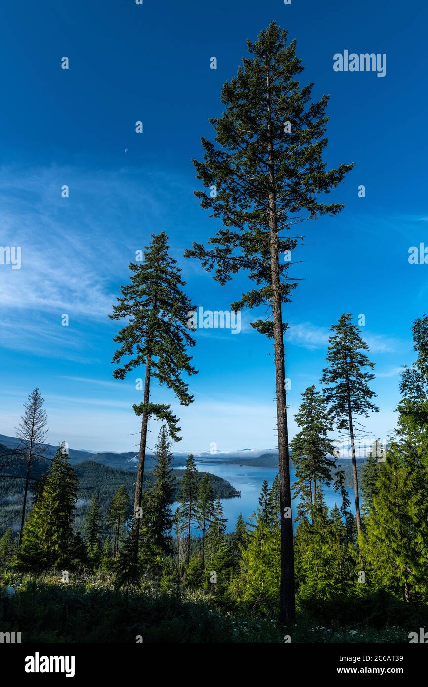 Priest lake state park idaho hi-res stock photography and images - Alamy