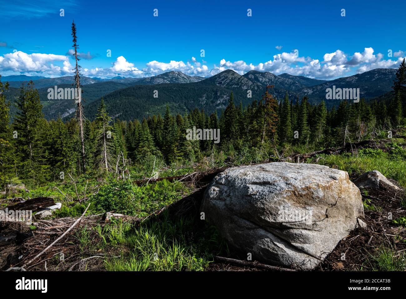 Selkirk range hi-res stock photography and images - Alamy