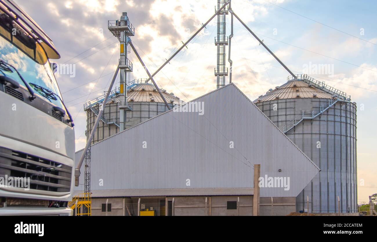 Metallic warehouse. Grain storage silo. Soy deposit. Infrastructure for ...