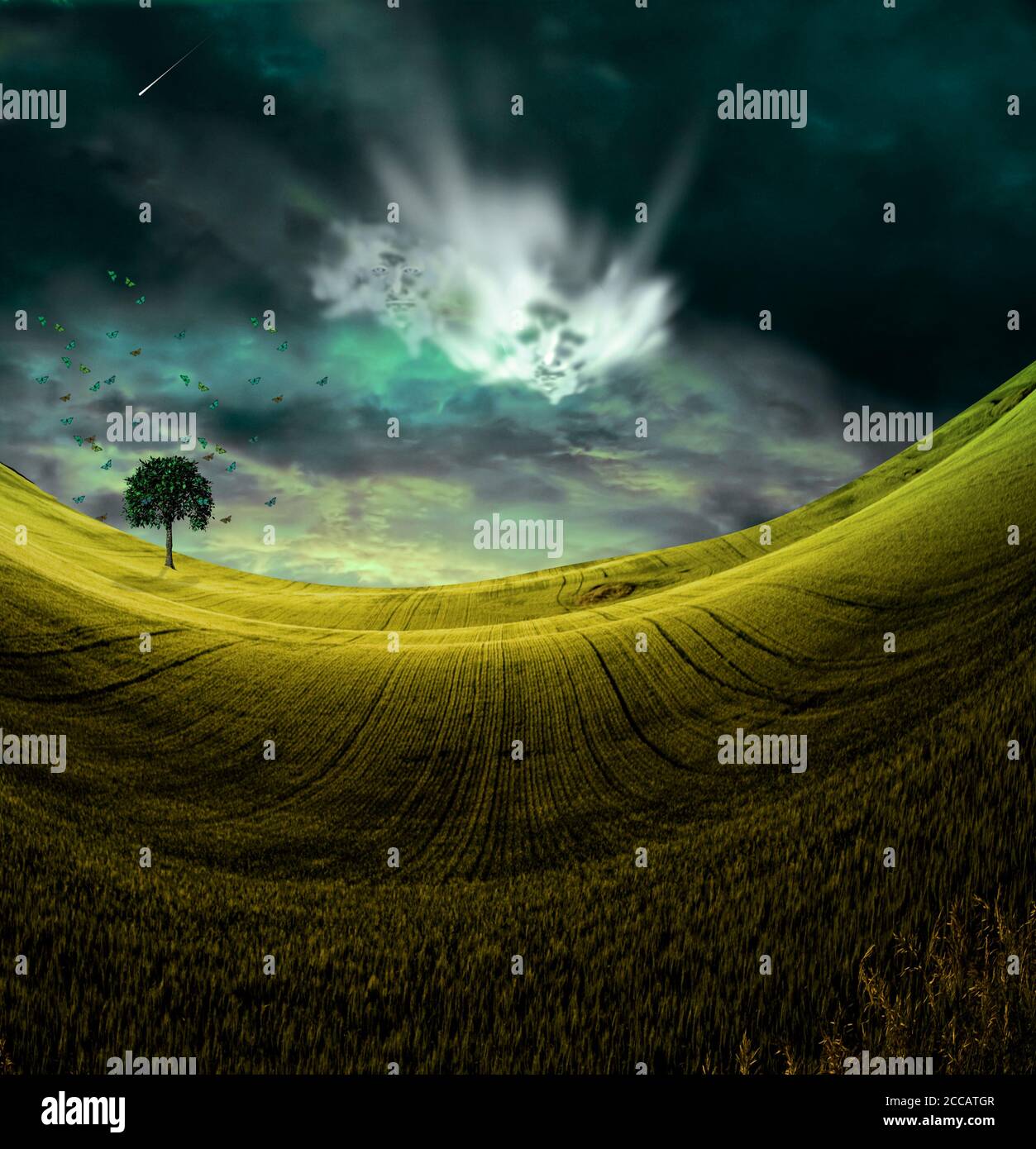 Curved faces hi-res stock photography and images - Alamy