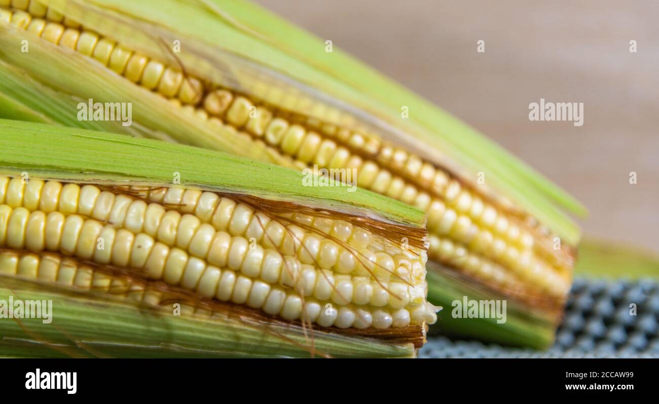 Ears of green corn. Brazilian culinary delicacy. Maize prepared for ...