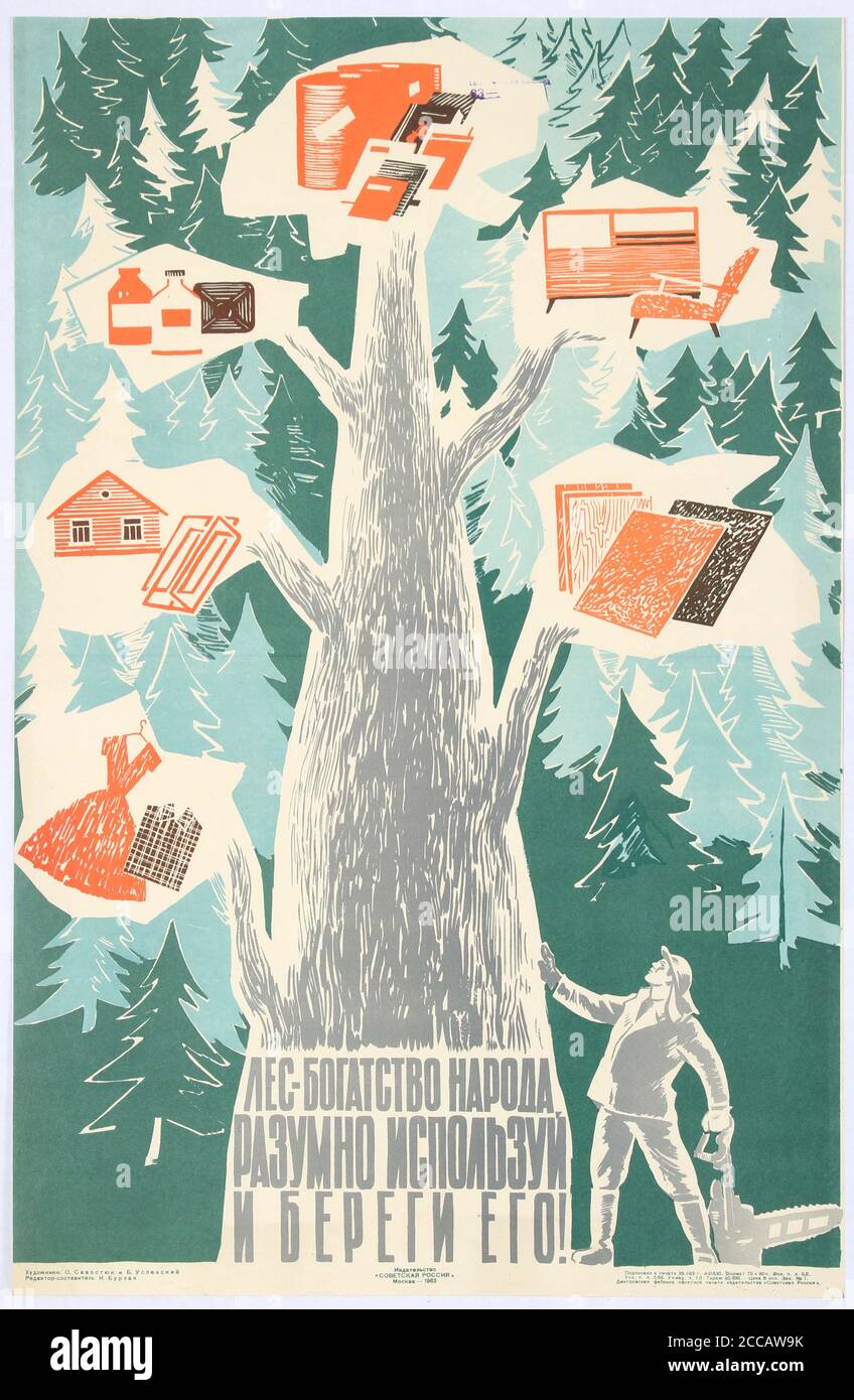 The Forest is the wealth of a nation protect, it and use it wisely ...