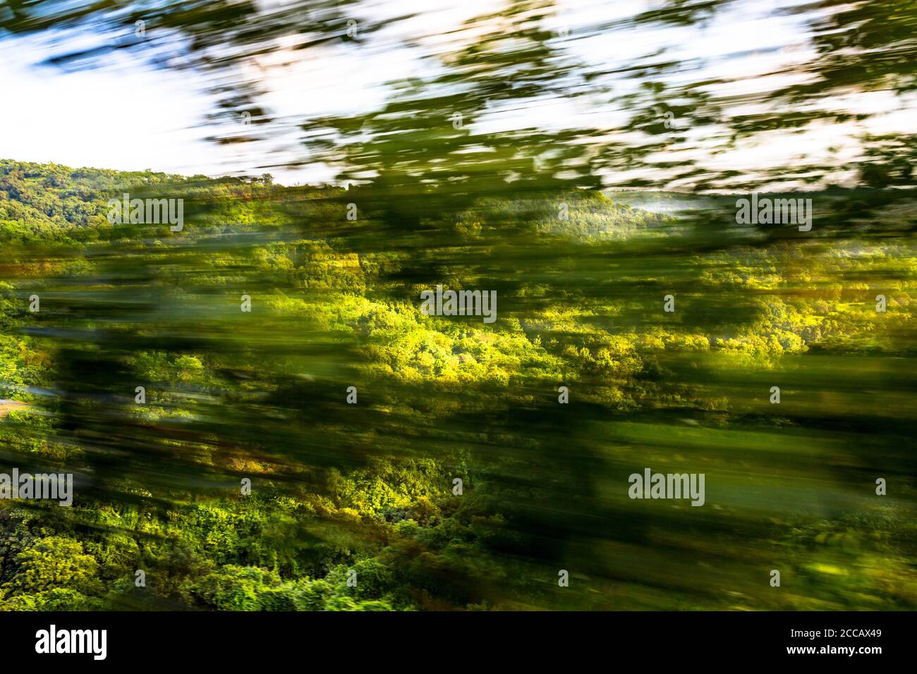 Goa, India. Landscape of Nature in India. View of a train from a train ...