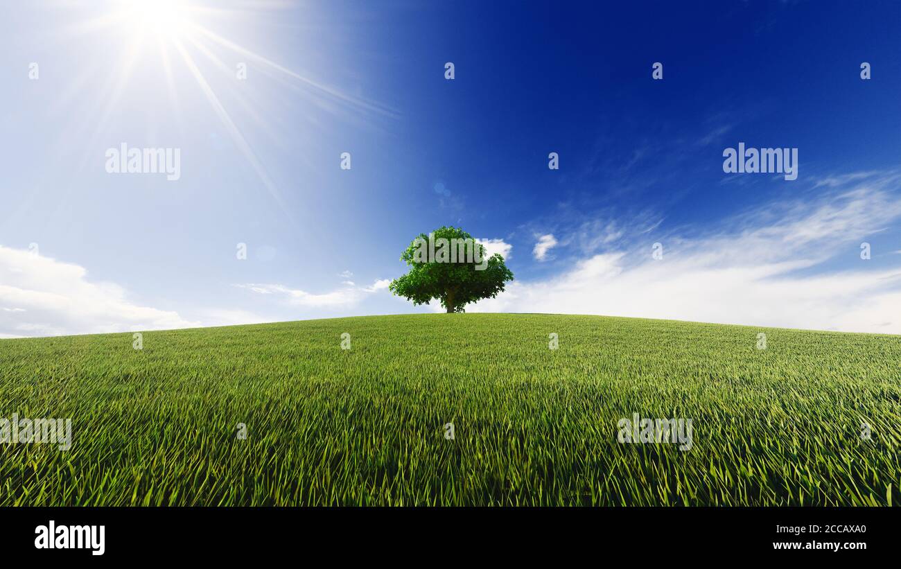 High resolution. A tree standing alone in a lawn. 3d rendering Stock ...
