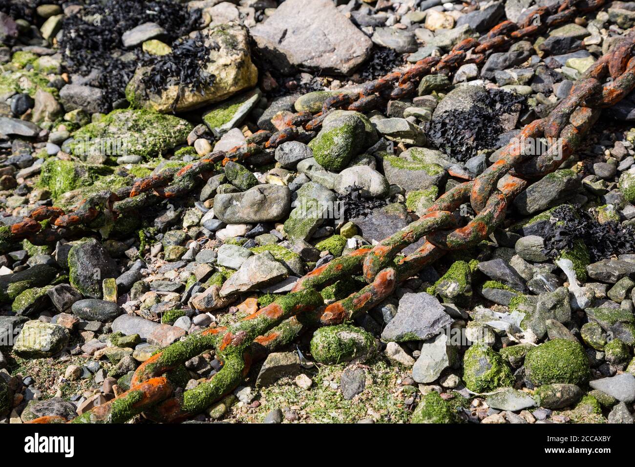 Moss-studded ship chains in Mousehole Harbour, Cornwall UK Stock Photo ...