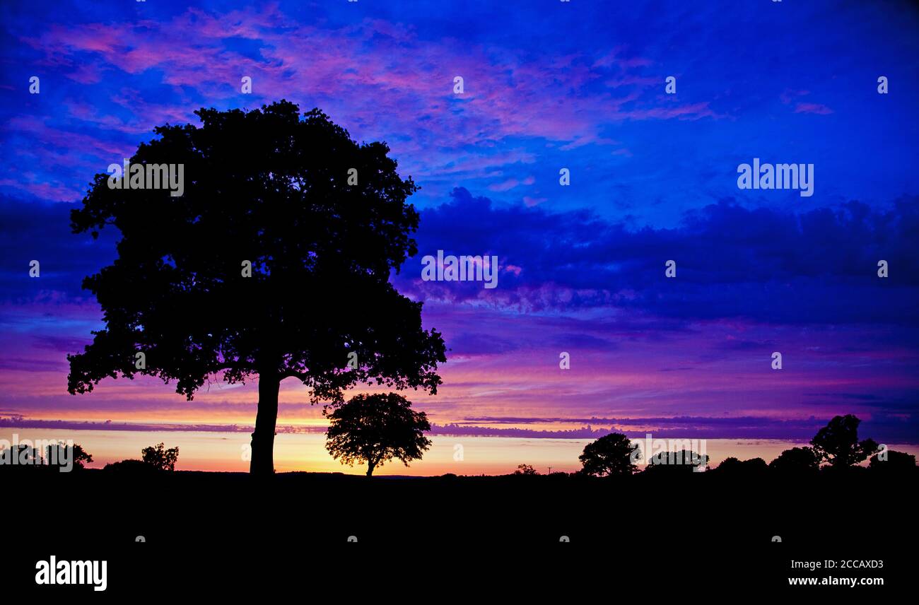 Sunset/sunrise with Oak tree Silhouette Stock Photo - Alamy