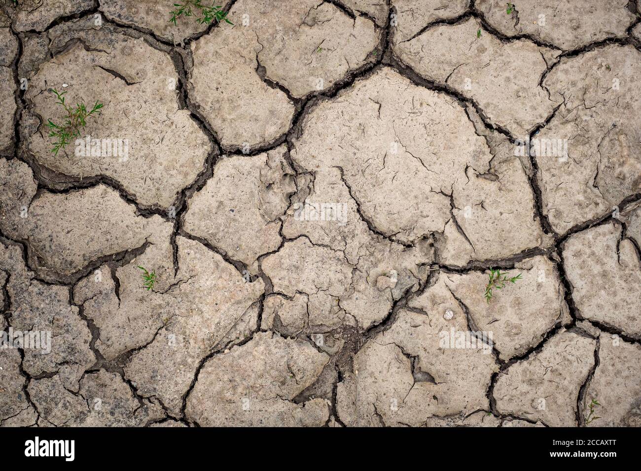 Dry land. Dry soil texture background Stock Photo - Alamy