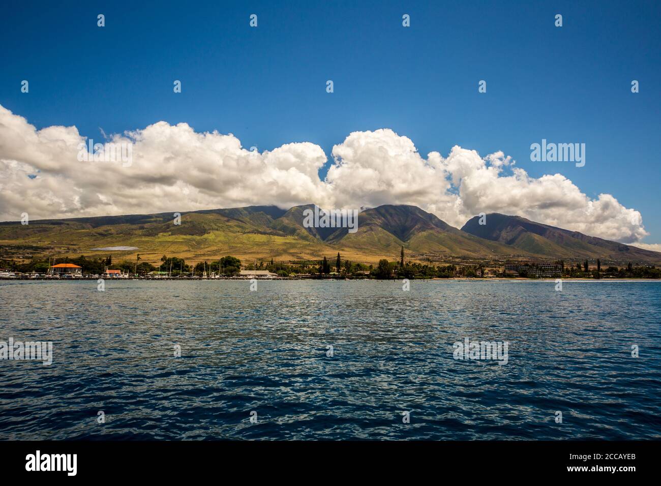 Lahaina banyan tree hi-res stock photography and images - Alamy