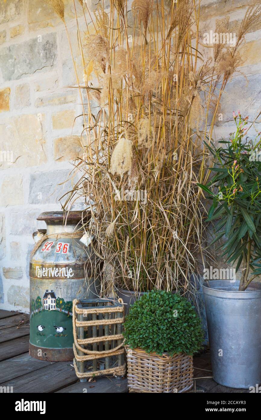 Milk pail hi-res stock photography and images - Alamy