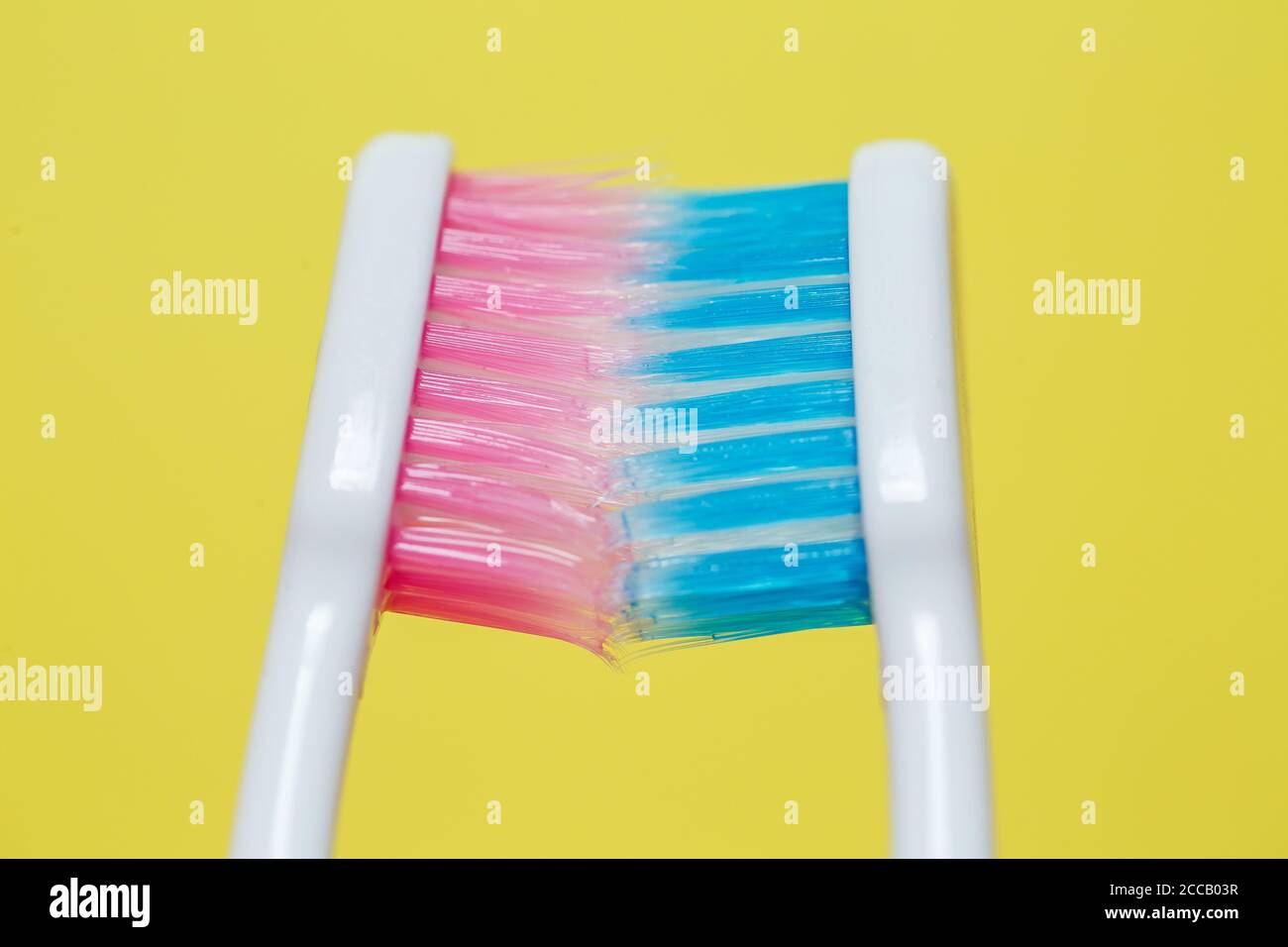 Two toothbrushes pink and blue. Toothbrush concept for a couple, living ...