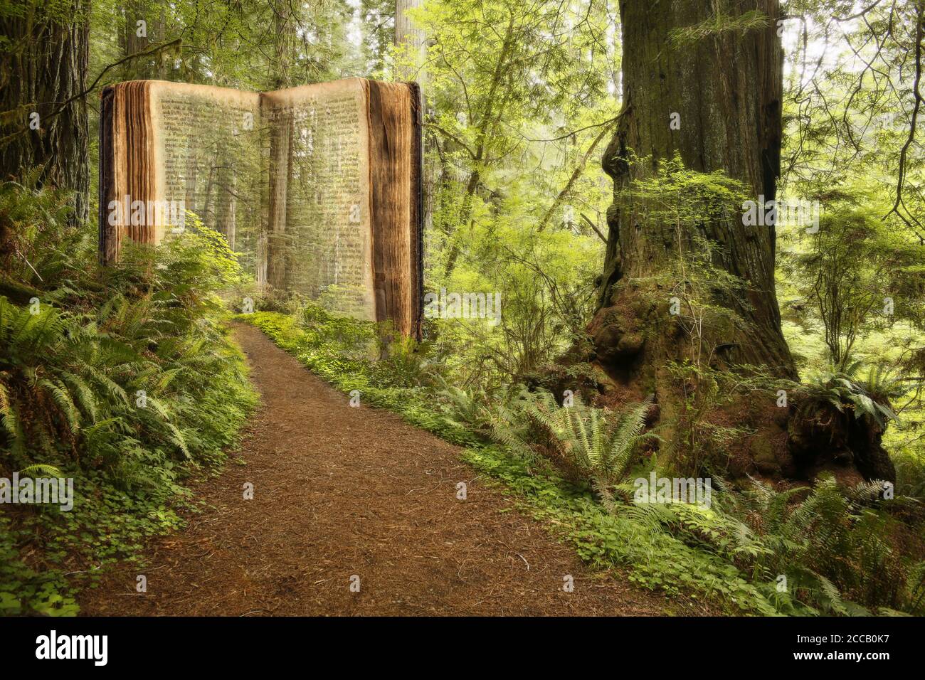 Concept of book at the end of the trail Stock Photo - Alamy