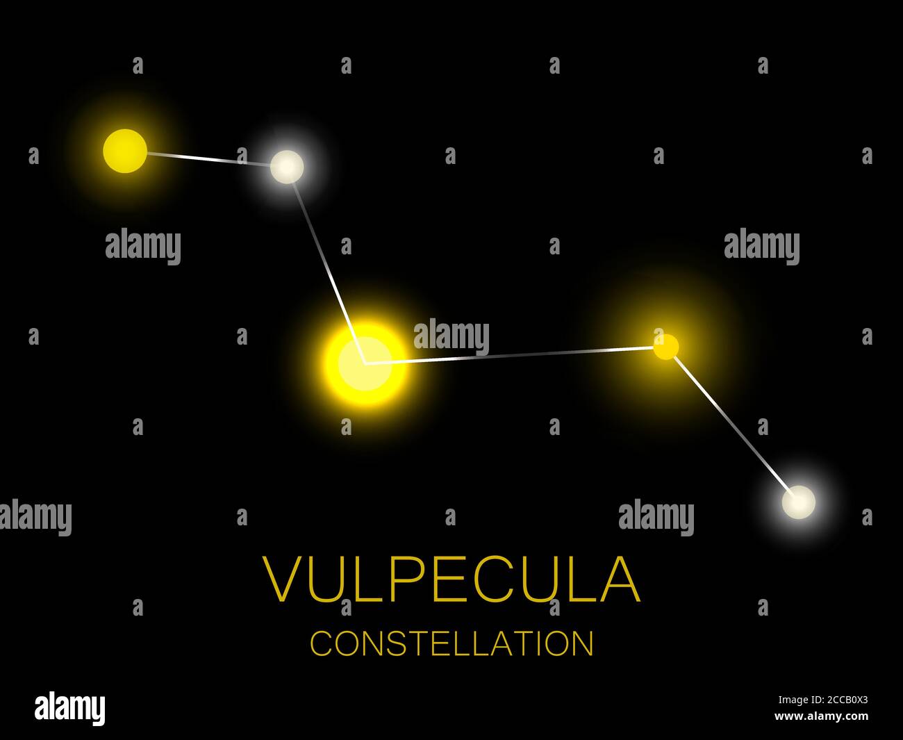 Vulpecula vector vectors hi-res stock photography and images - Alamy