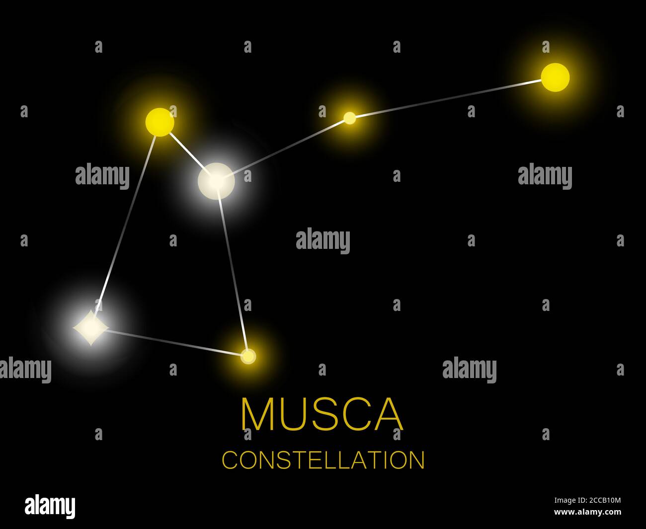 Musca constellation. Bright yellow stars in the night sky. A cluster of ...