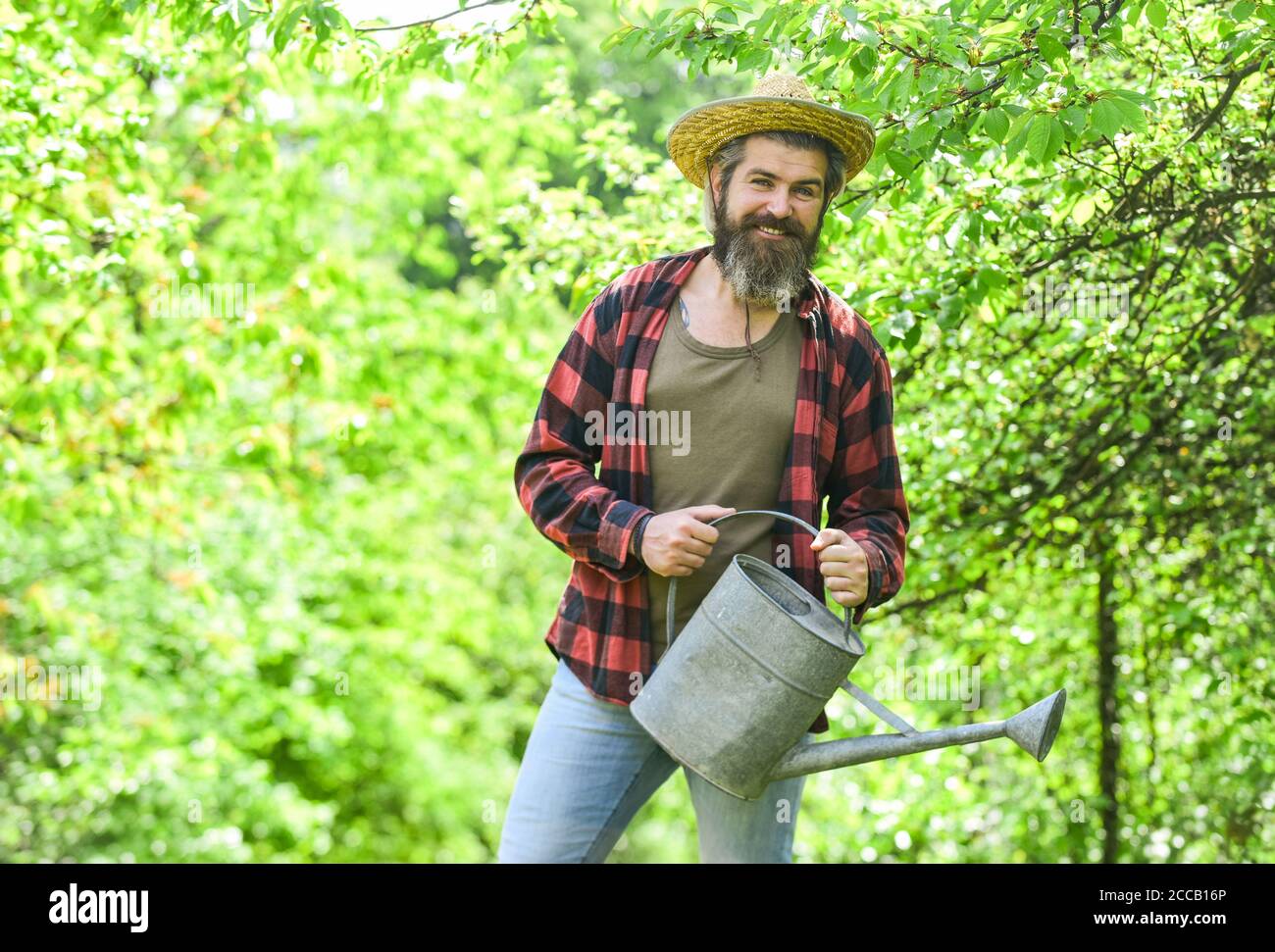 watering plants and flowers. Gardener pouring water from can. mature ...