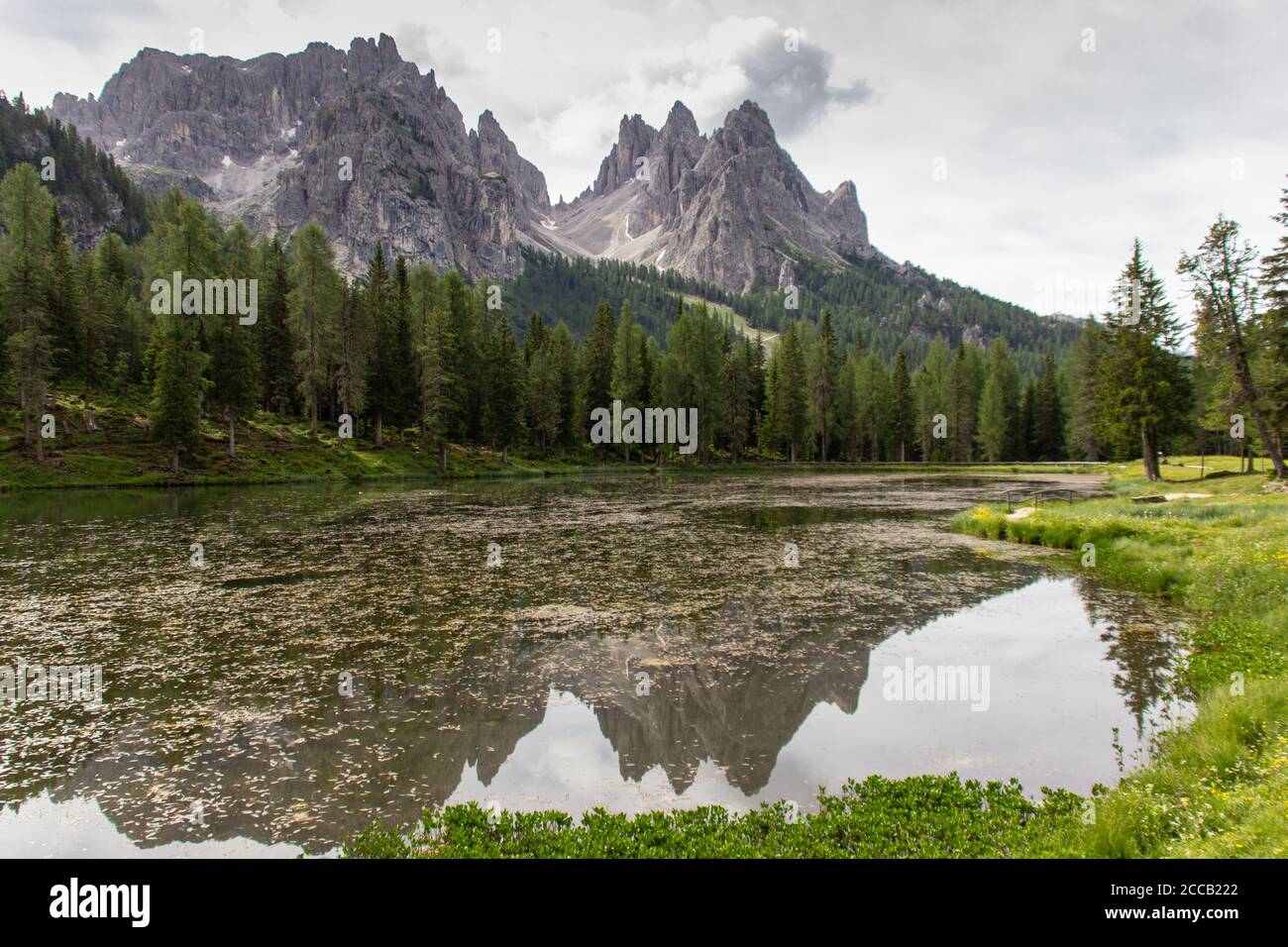Incredible nature landscape in Dolomites Alps. Spring blooming meadow ...