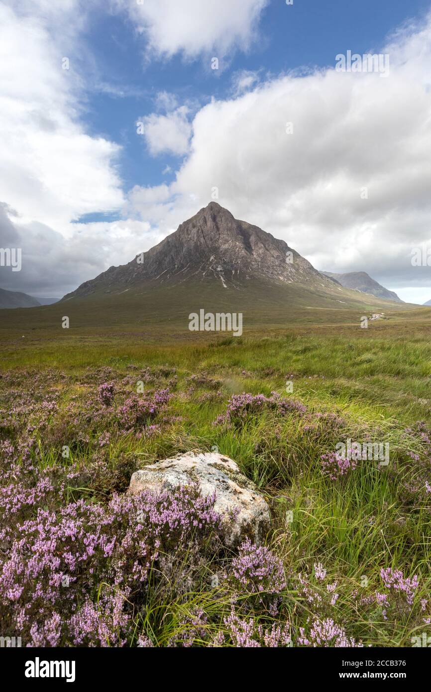 Heather moors scotland hi-res stock photography and images - Alamy