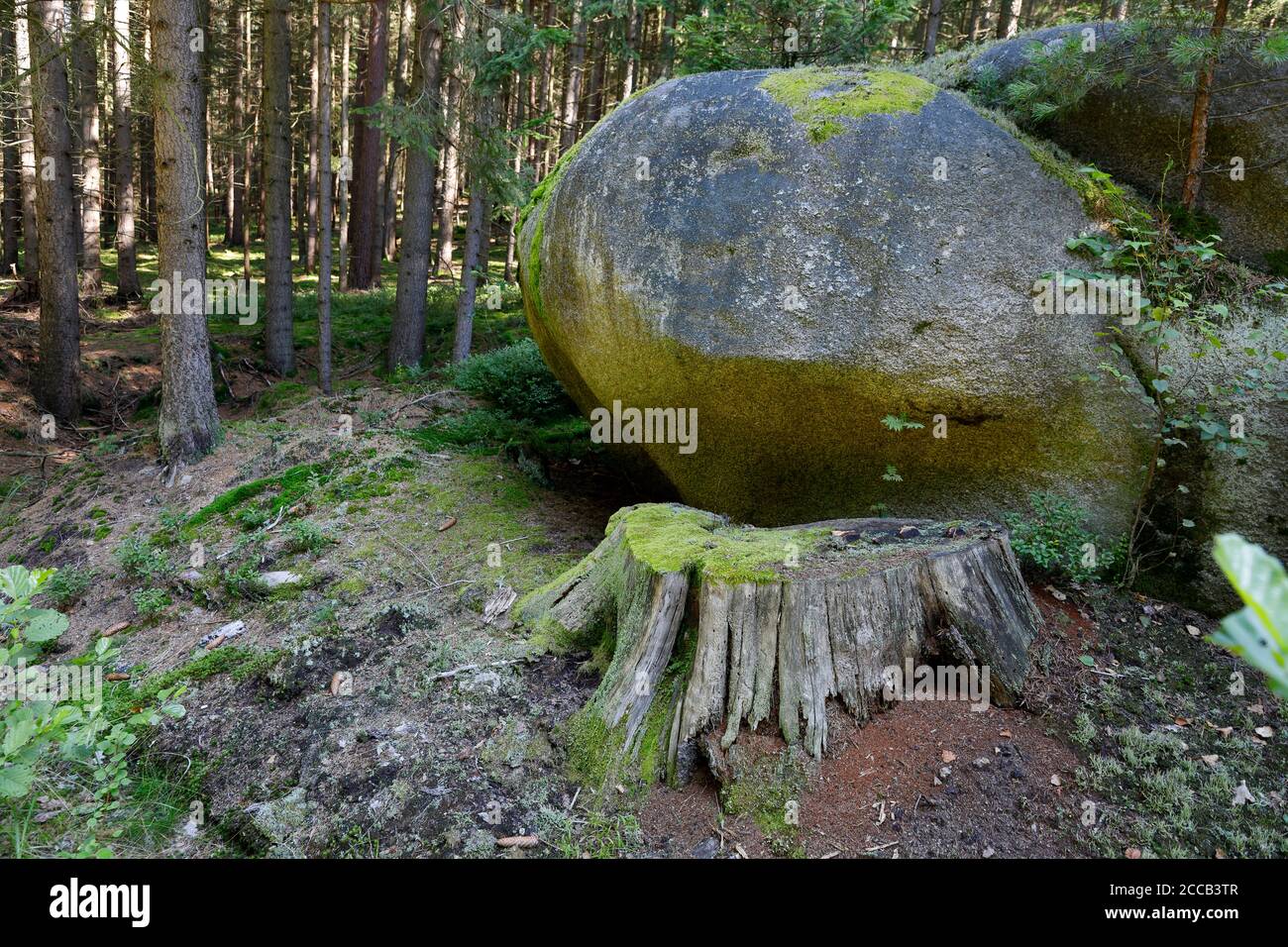 A big granite stone in a forest of Waldviertel, Lower Austria Stock ...