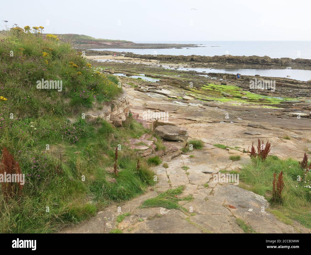 Rock pools and beach landscape on the coast near the pretty fishing ...