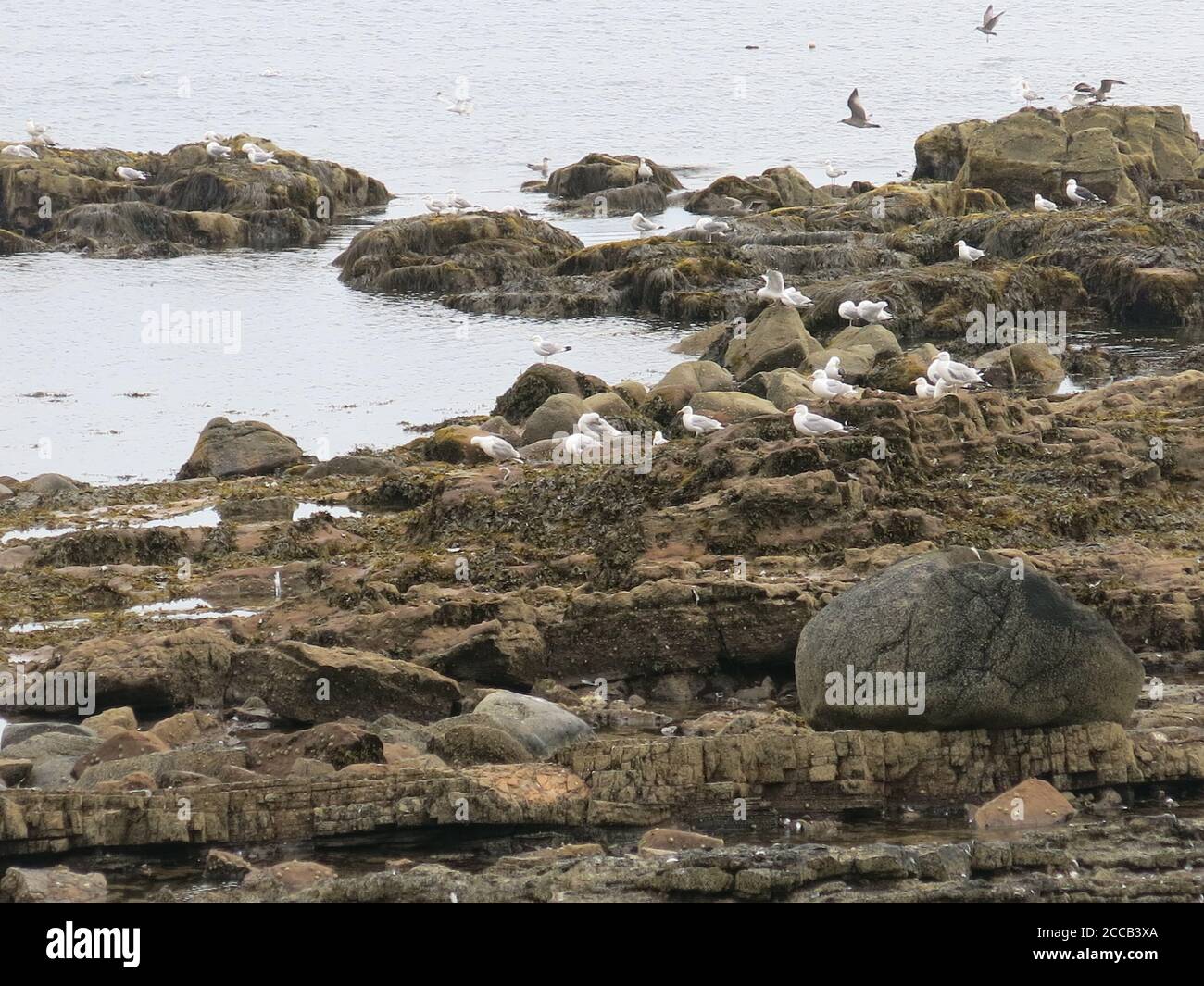 Rock pools and beach landscape on the coast near the pretty fishing ...