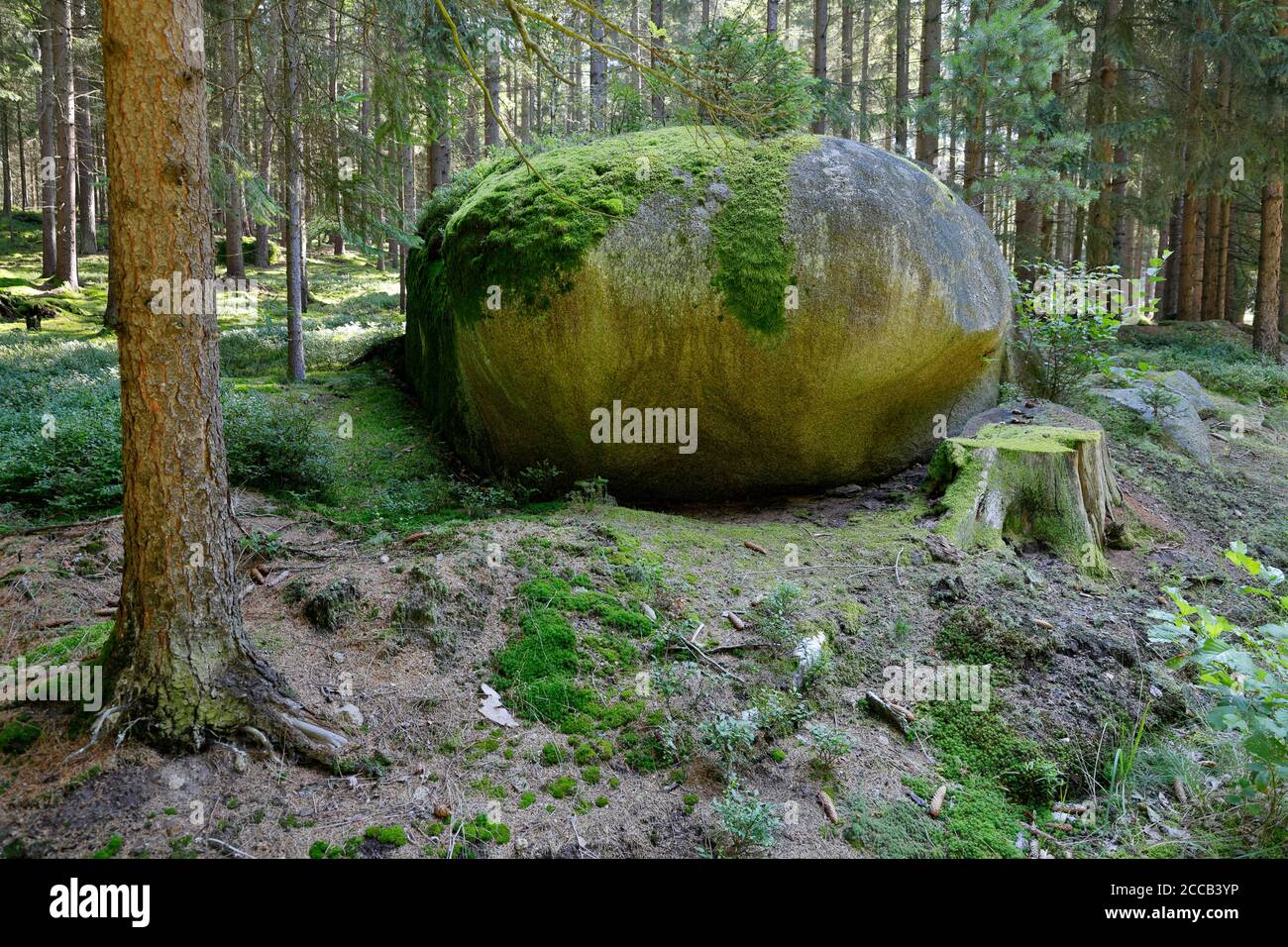 A big granite stone in a forest of Waldviertel, Lower Austria Stock ...