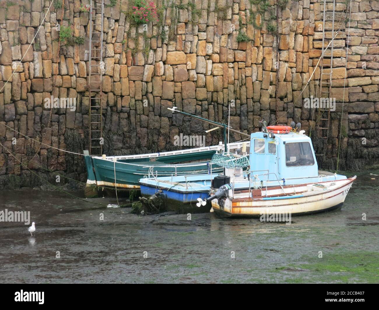 Fishing boats moored by the harbour wall at Crail, a traditional way of ...