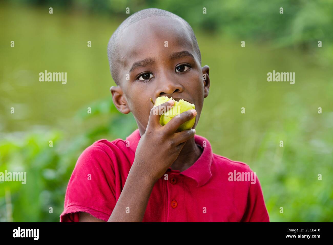 African american boy eating an apple hi-res stock photography and ...