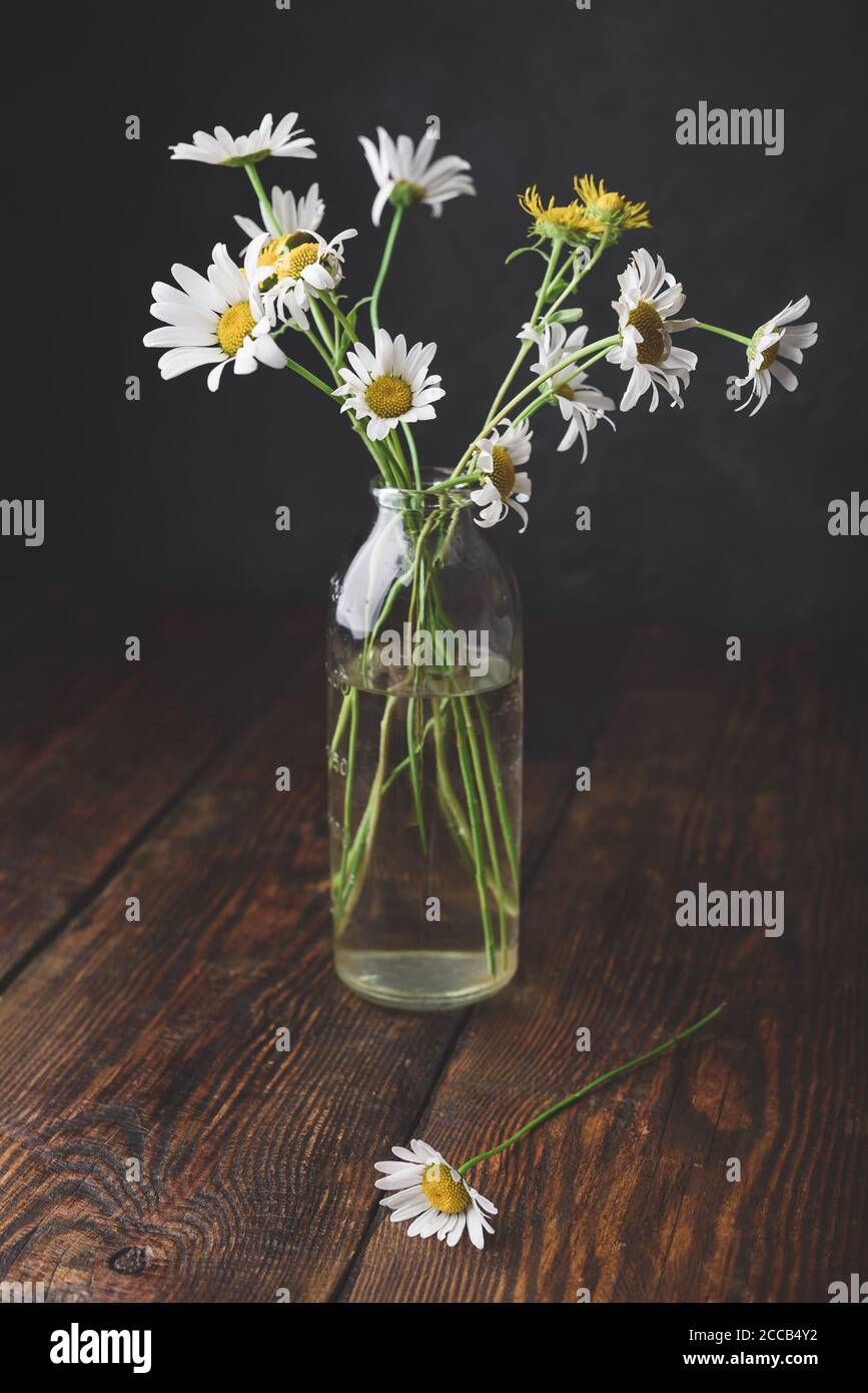 Bouquet of small daisy flowers Stock Photo - Alamy