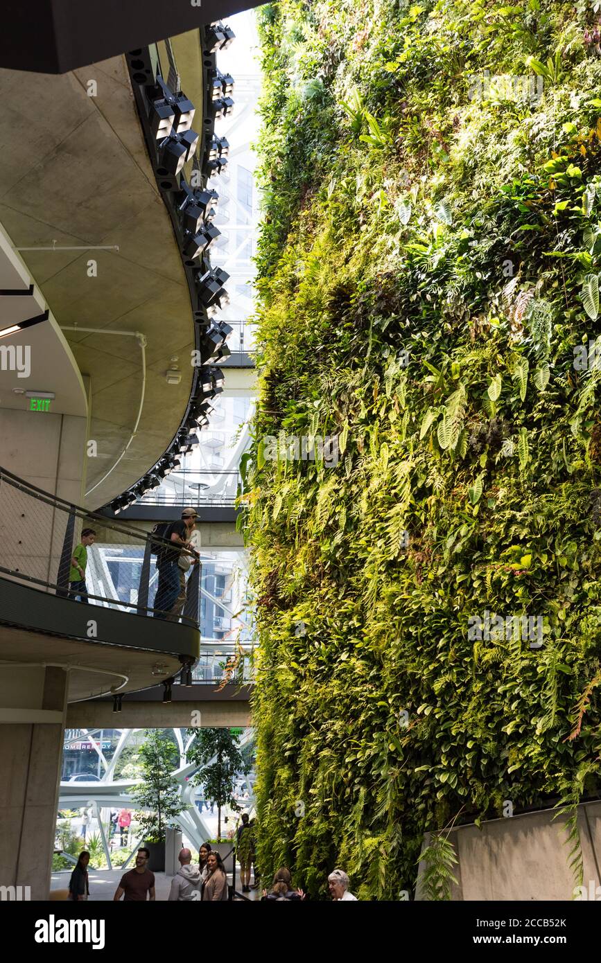 Seattle, USA May 5, 2018: The Amazon Spheres late in the day Stock ...