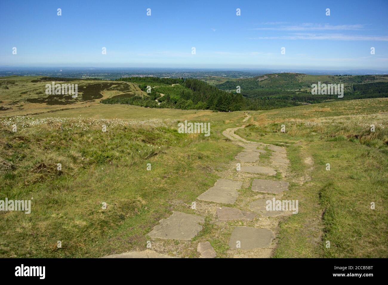 English wilderness hi-res stock photography and images - Alamy