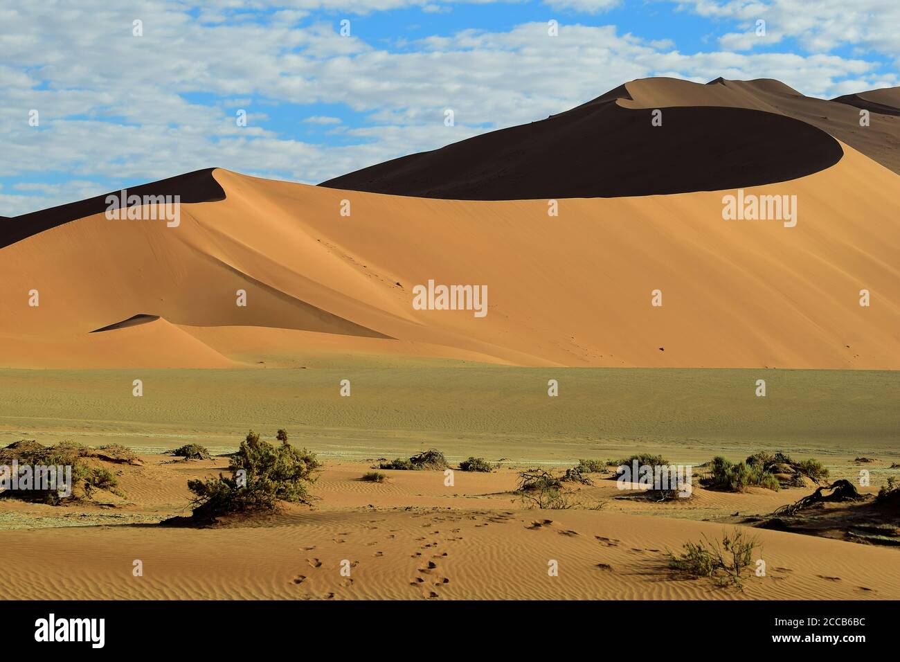 BIG SAND DUNES IN THE NAMIB DESERT IN NAMIBIA. DESERT LANDSCAPES Stock ...