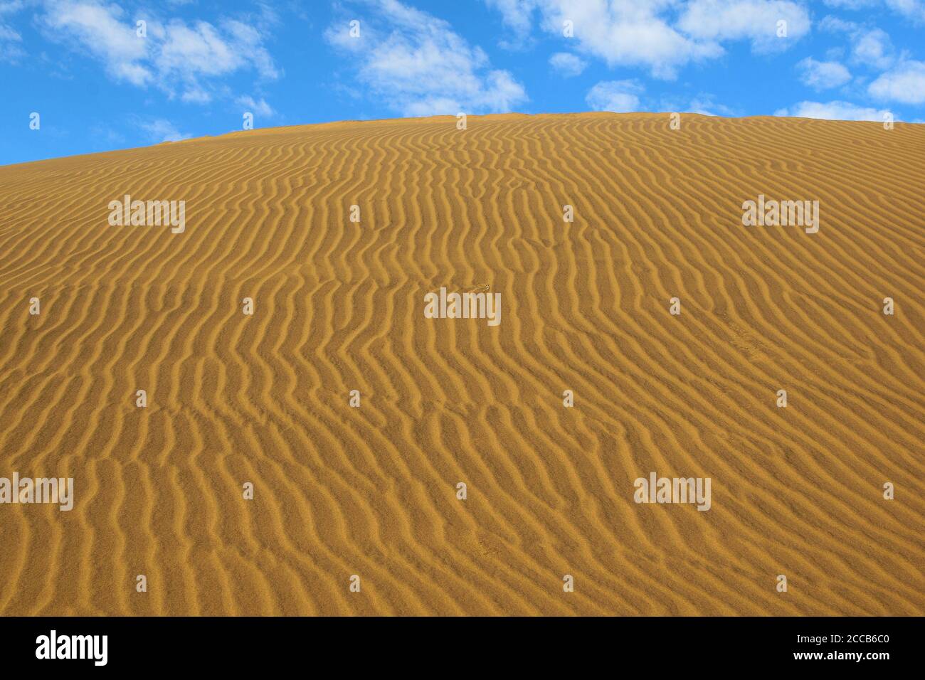 SAND PATTERNS AND BIG DUNES IN THE NAMIB DESERT IN NAMIBIA Stock Photo ...