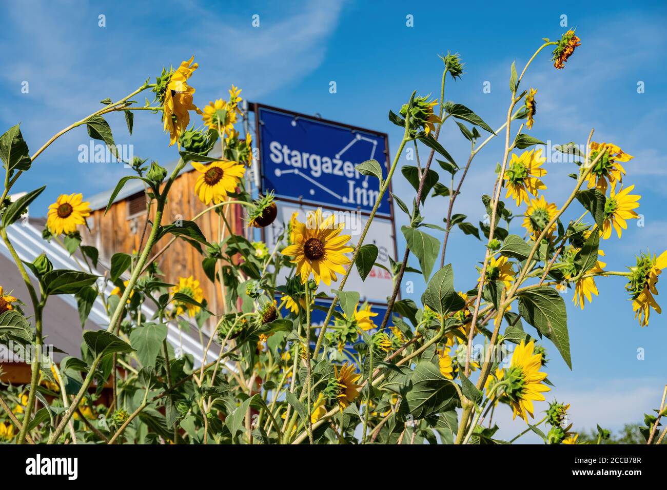 Baker, AUG 13, 2020 - Sign of the Stargazer Inn Stock Photo - Alamy