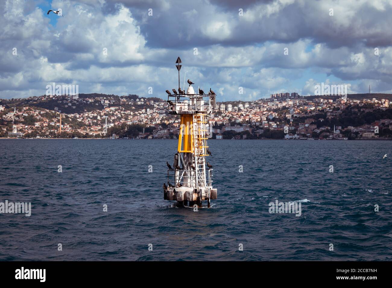 a small swimming lighthouse on the sea welcomes birds on a sunny day ...
