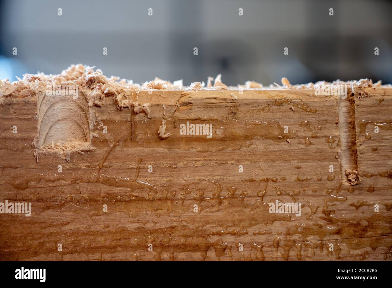 Drilling a hole into wooden board by using a power drill Stock Photo ...