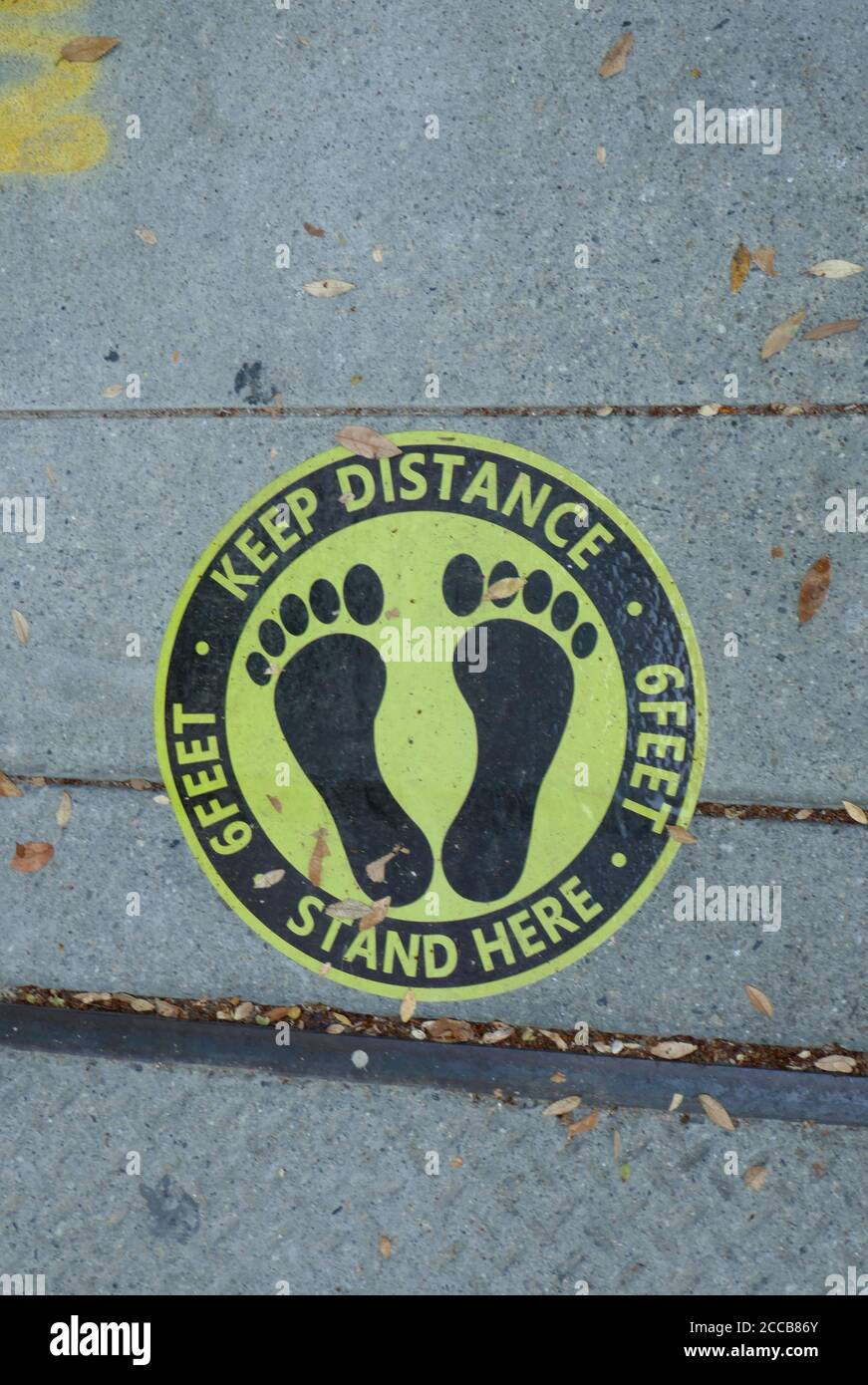 Los Angeles, California, USA 19th August 2020 A general view of ...