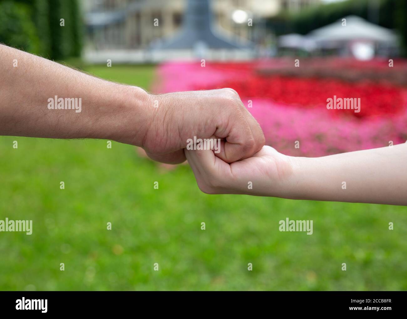 handshake on the background of flowers in the park. selective focus ...