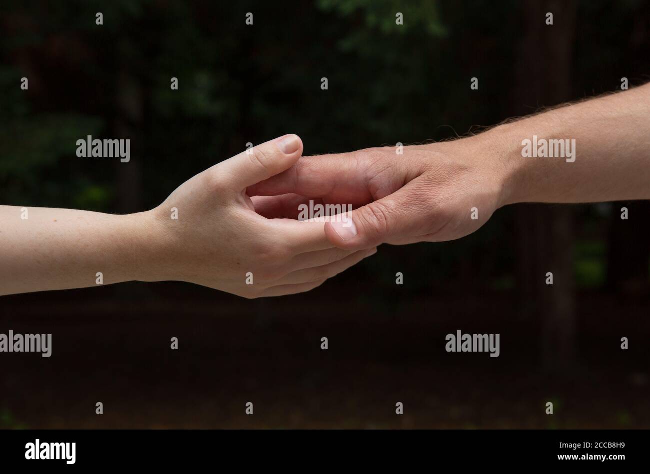hand reaches for hand towards each other Stock Photo - Alamy