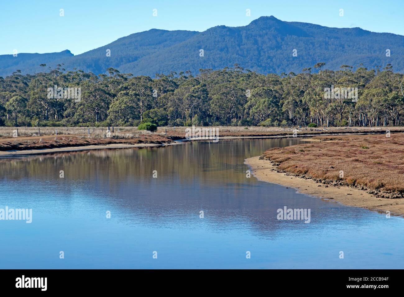 Mt Maria, the highest peak on Maria Island Stock Photo - Alamy