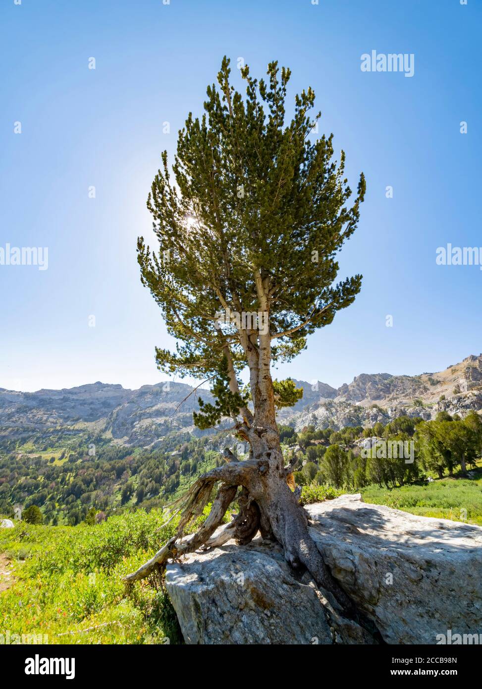 Morning view of the beautiful landscape around the Ruby Crest Trail of ...