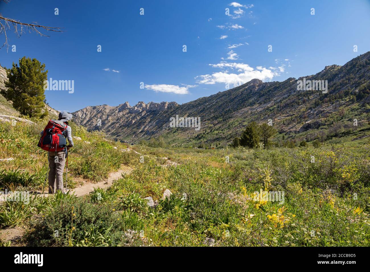 Morning view of the beautiful landscape around the Ruby Crest Trail of Ruby Mountain at Nevada ...