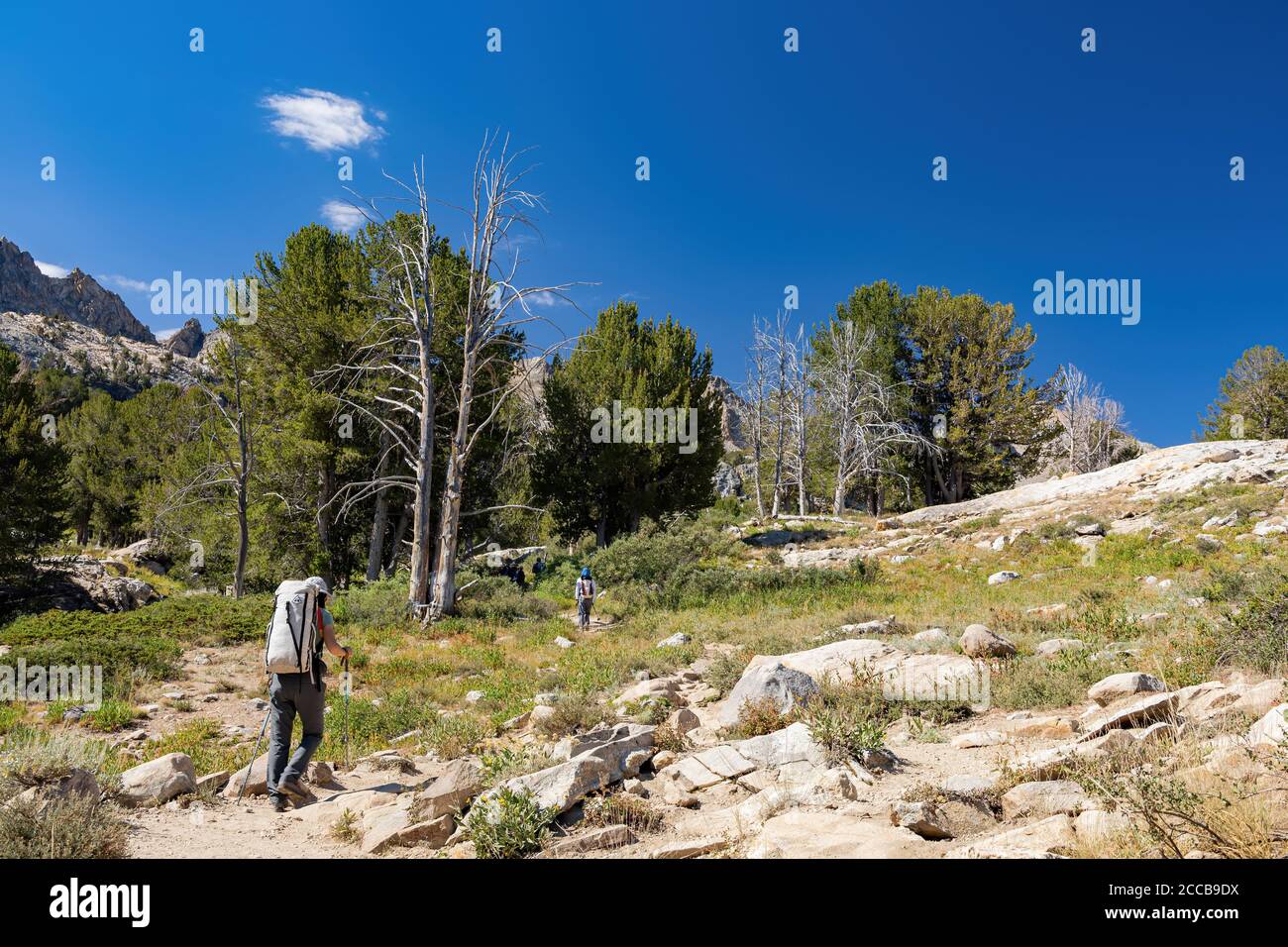 Morning view of the beautiful landscape around the Ruby Crest Trail of ...